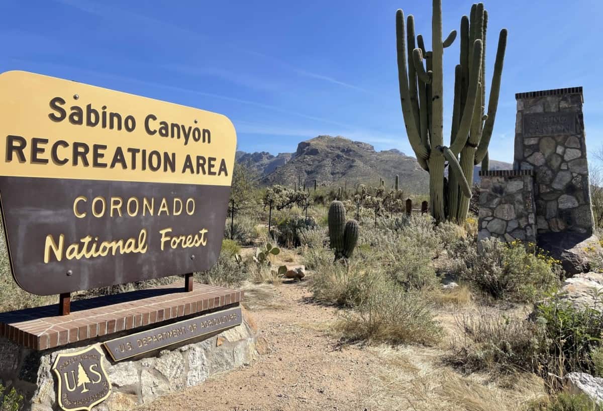 Sabino Canyon - Attraction Guide | TucsonTopia