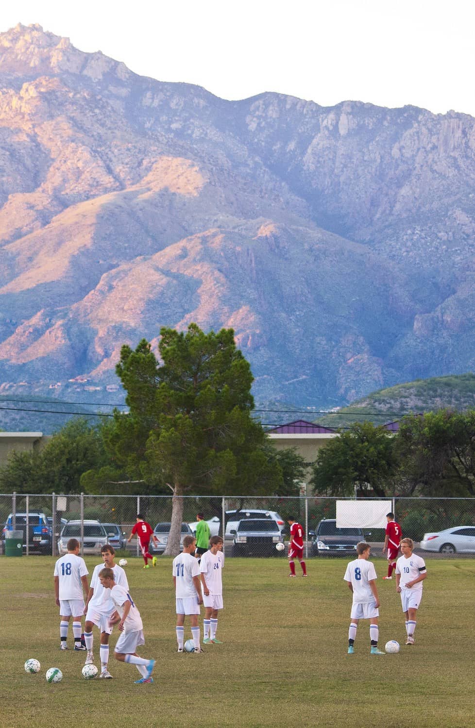 Park Profile: Morris K. Udall Park | TucsonTopia