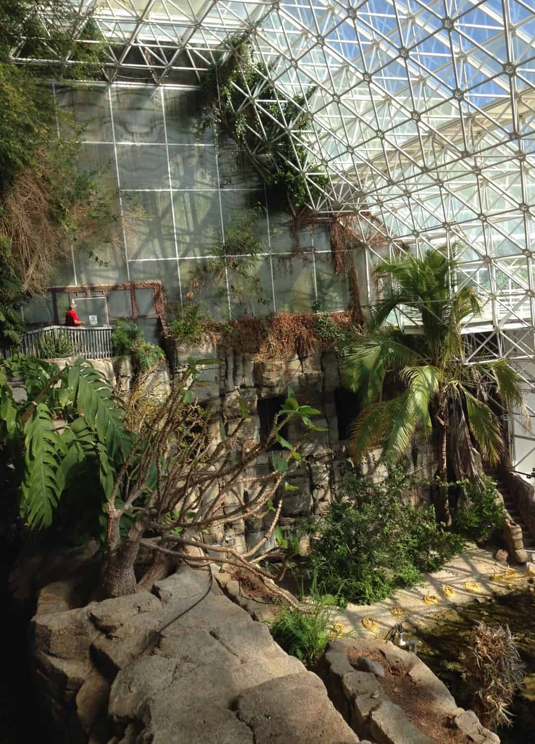Everything You Need to Know Before You Visit Biosphere 2