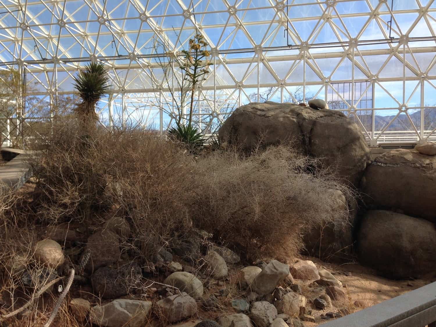 Everything You Need to Know Before You Visit Biosphere 2