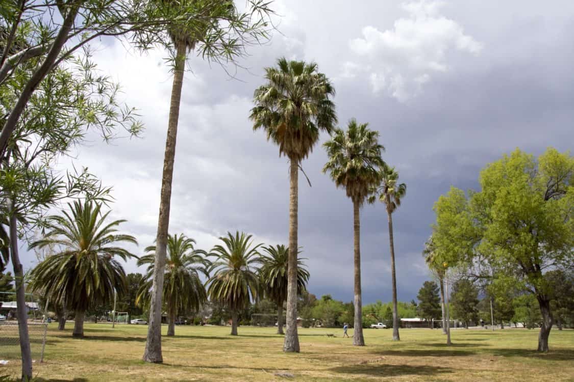 Park Profile: La Madera Park | TucsonTopia