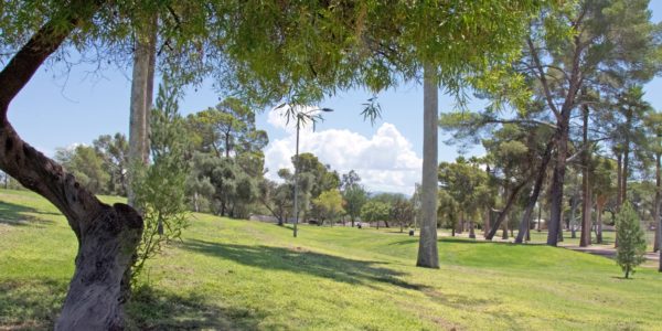 Park Profile: Himmel Park | TucsonTopia