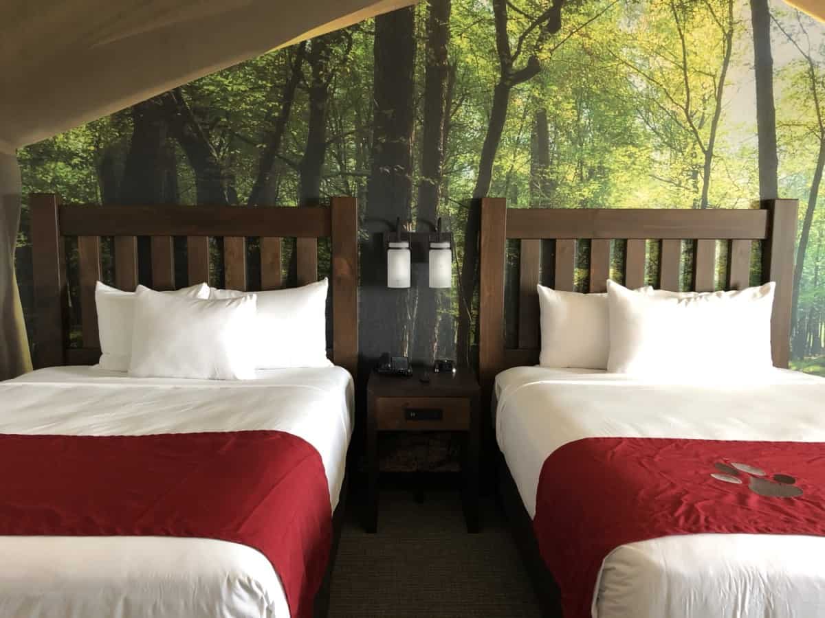 Great Wolf Lodge Arizona: Complete Guide | TucsonTopia