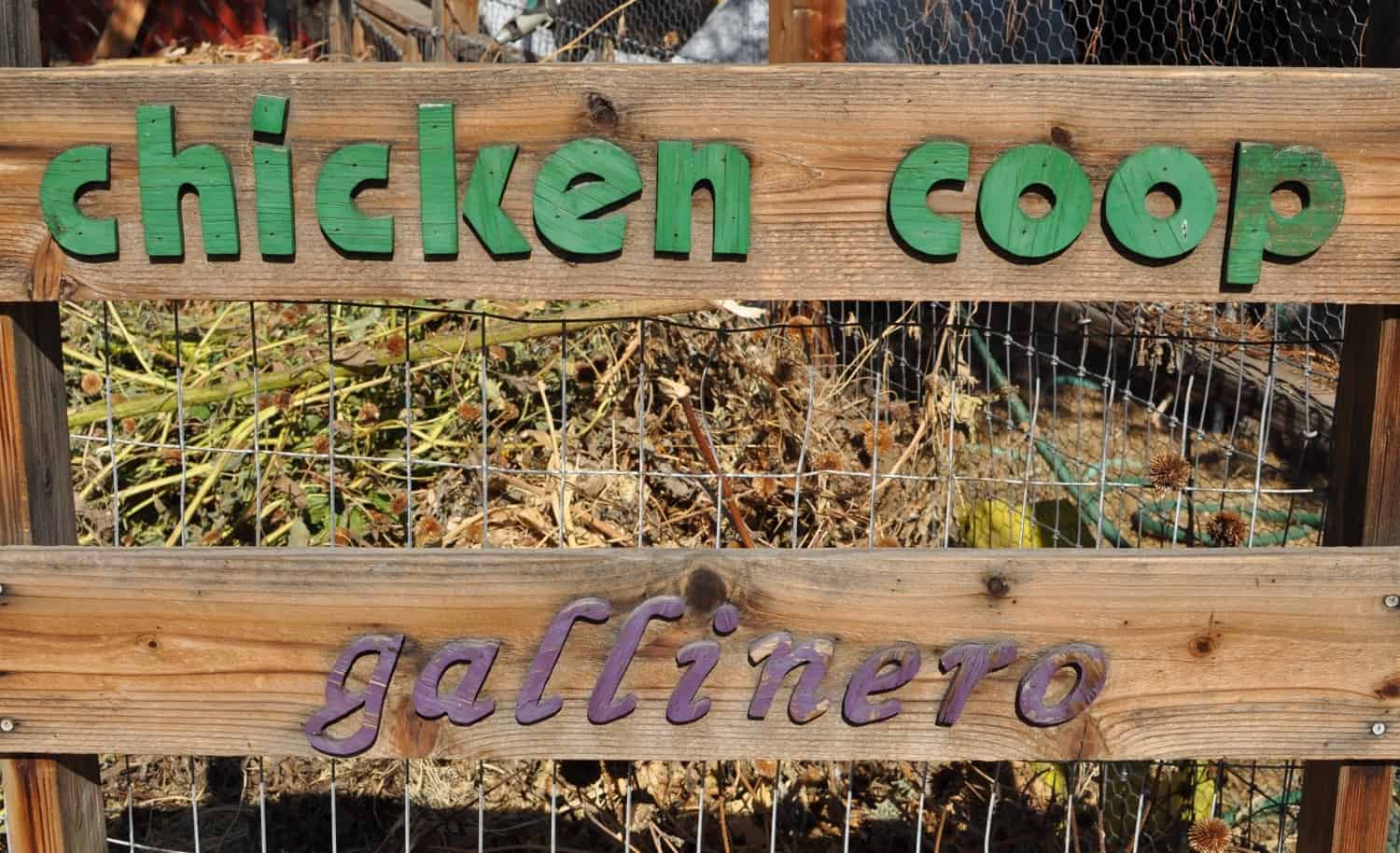 Volunteer in Tucson: Community Food Bank of Southern Arizona