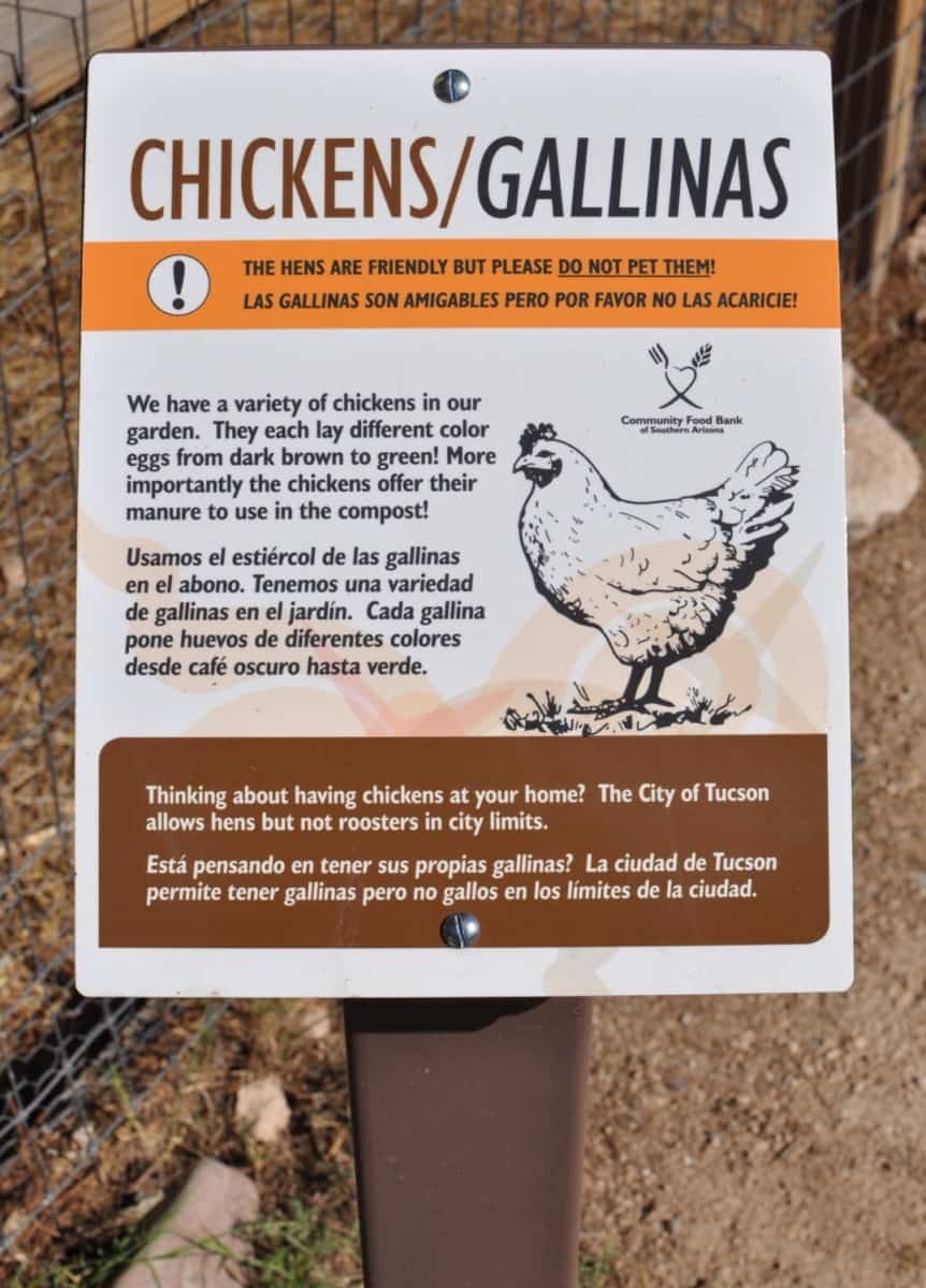 Volunteer in Tucson: Community Food Bank of Southern Arizona