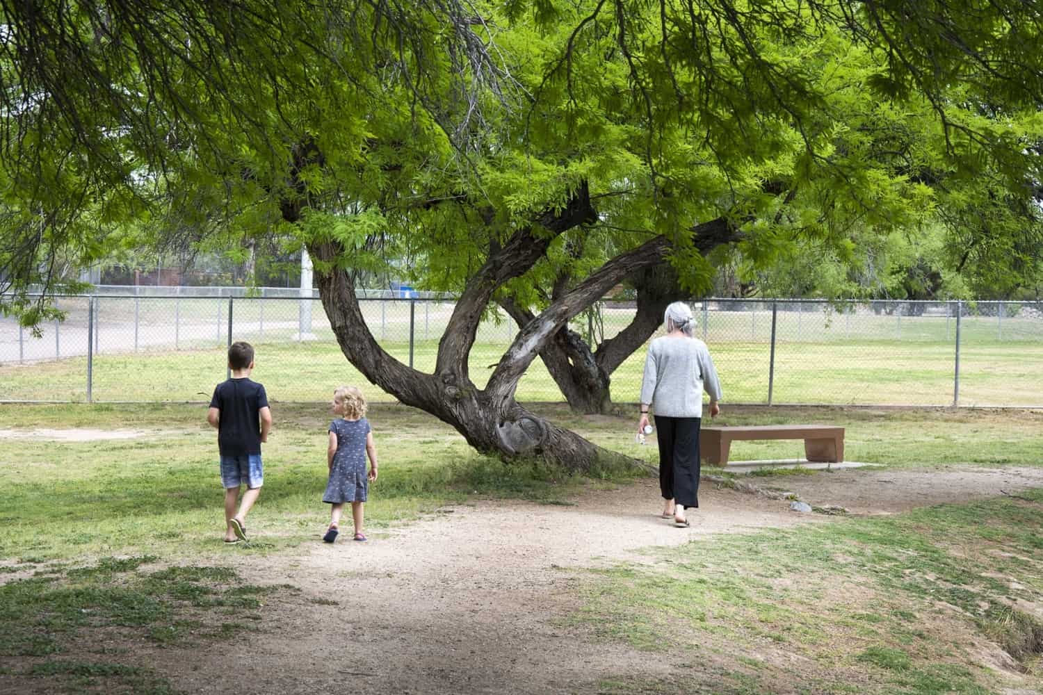 Park Profile: Fort Lowell Park | TucsonTopia