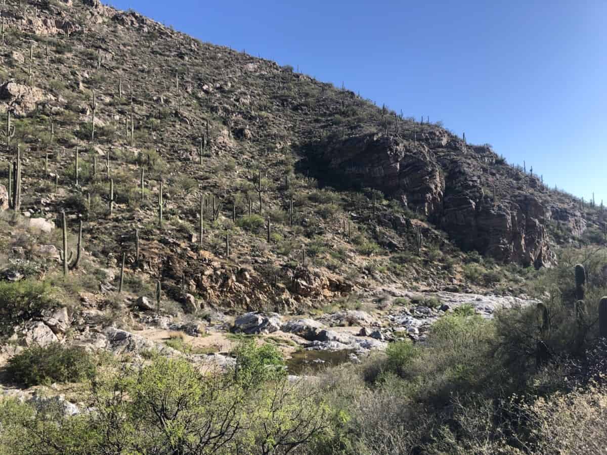 Tanque Verde Falls: A Hiking Guide | TucsonTopia