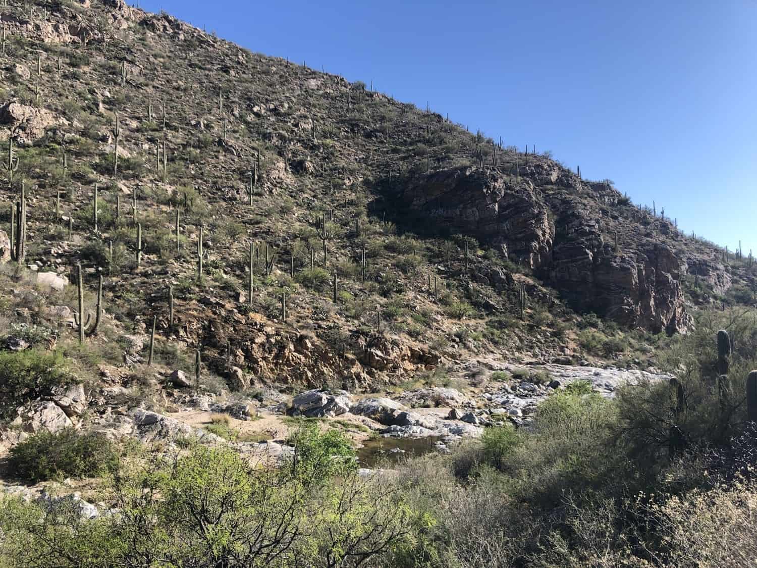 Tanque Verde Falls: A Hiking Guide | TucsonTopia