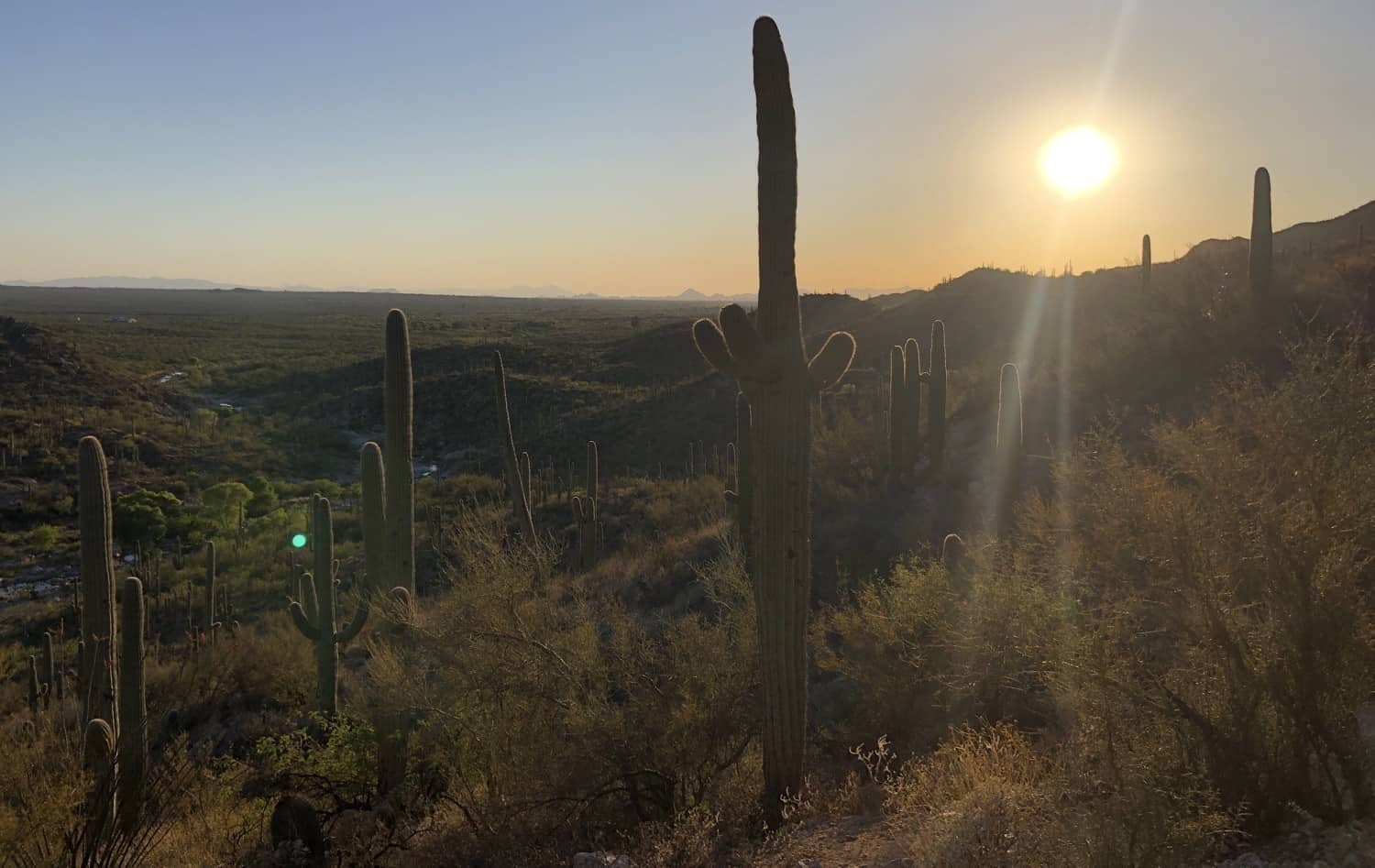 Tanque Verde Falls: A Hiking Guide | TucsonTopia
