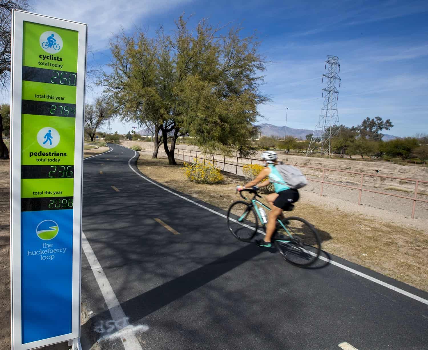 Chuck Huckelberry Loop: A Guide | TucsonTopia