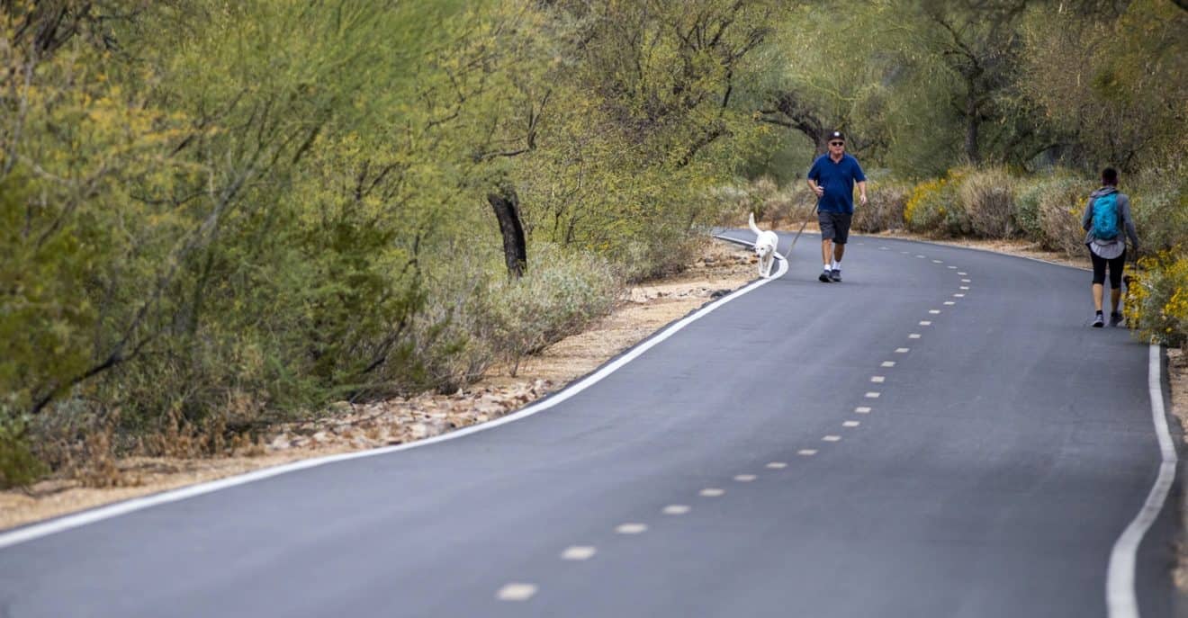 Chuck Huckelberry Loop: A Guide | TucsonTopia