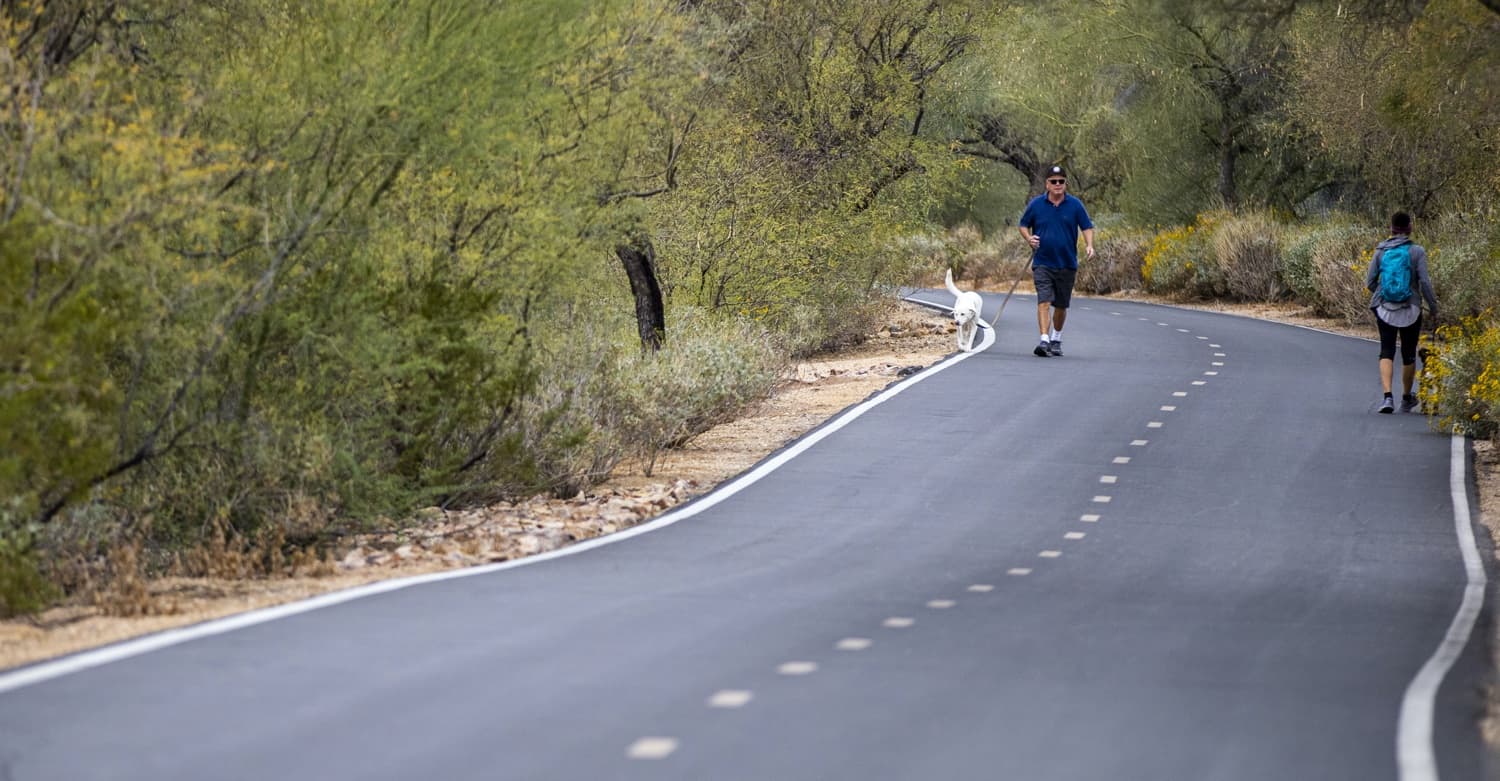 Chuck Huckelberry Loop: A Guide | TucsonTopia