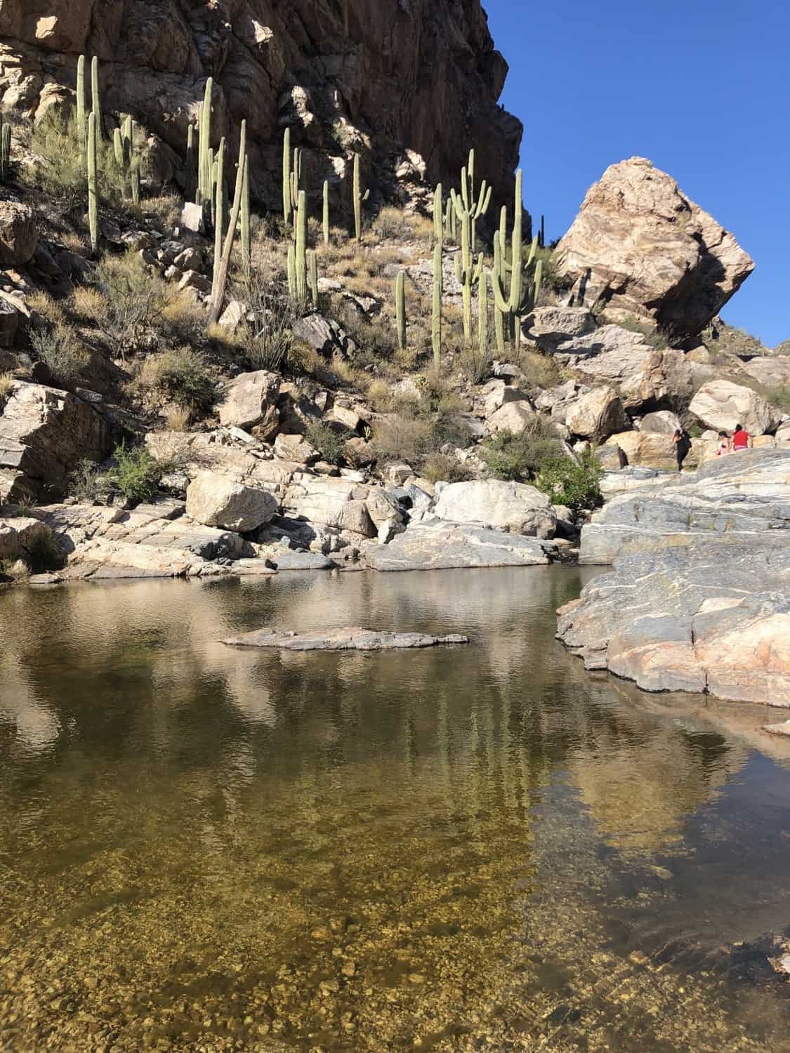 Tanque Verde Falls: A Hiking Guide | TucsonTopia