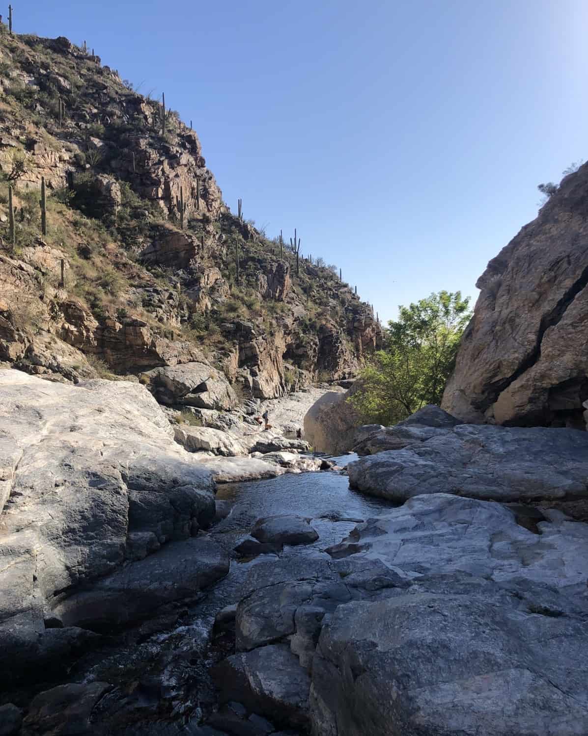 Tanque Verde Falls: A Hiking Guide | TucsonTopia