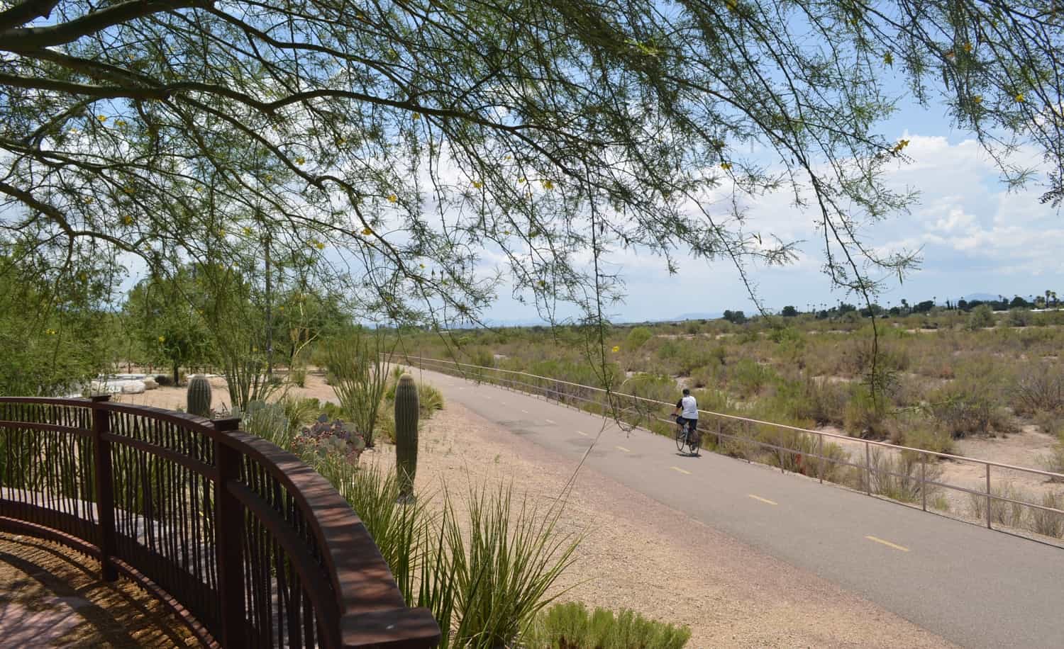 Park Profile: Michael Perry Park | TucsonTopia