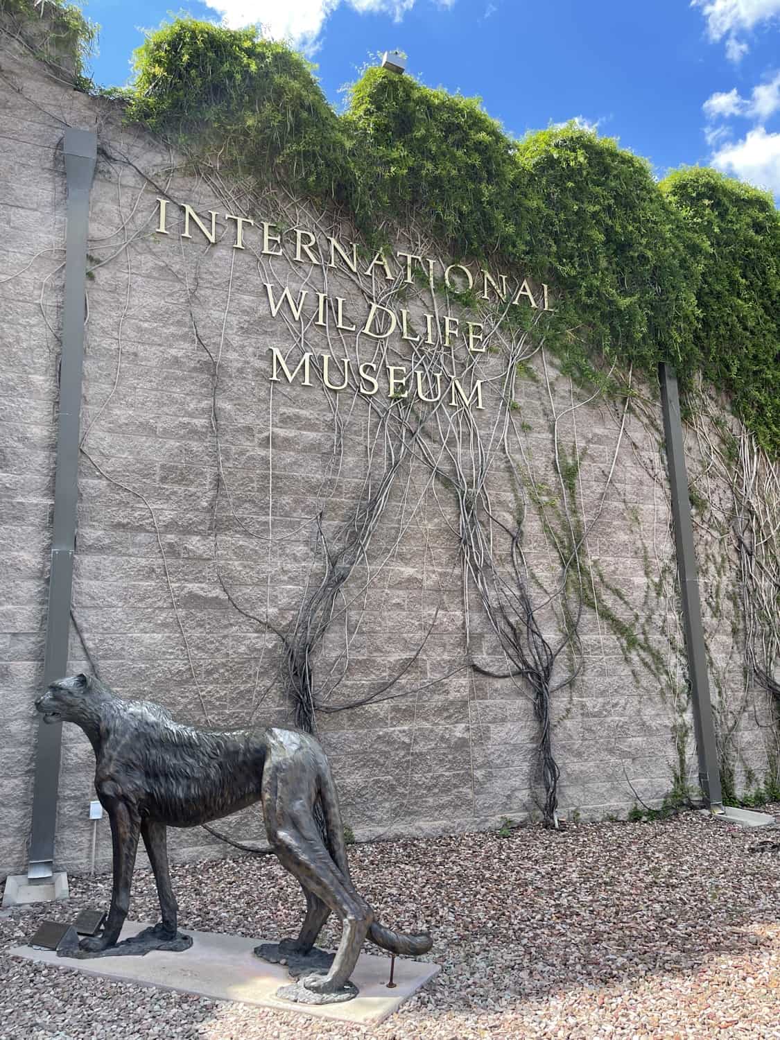 International Wildlife Museum - Attraction Guide | TucsonTopia