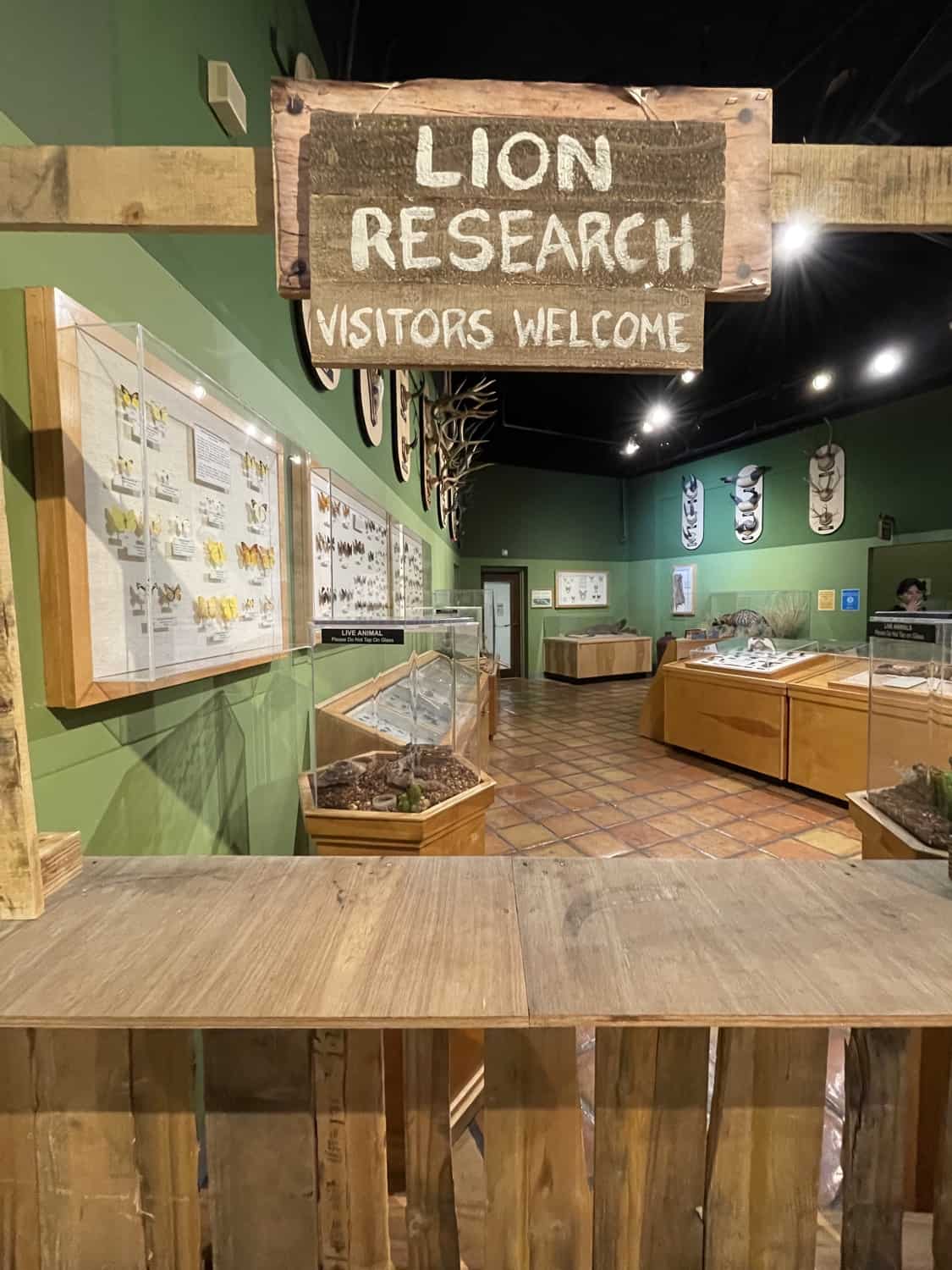 International Wildlife Museum - Attraction Guide | TucsonTopia
