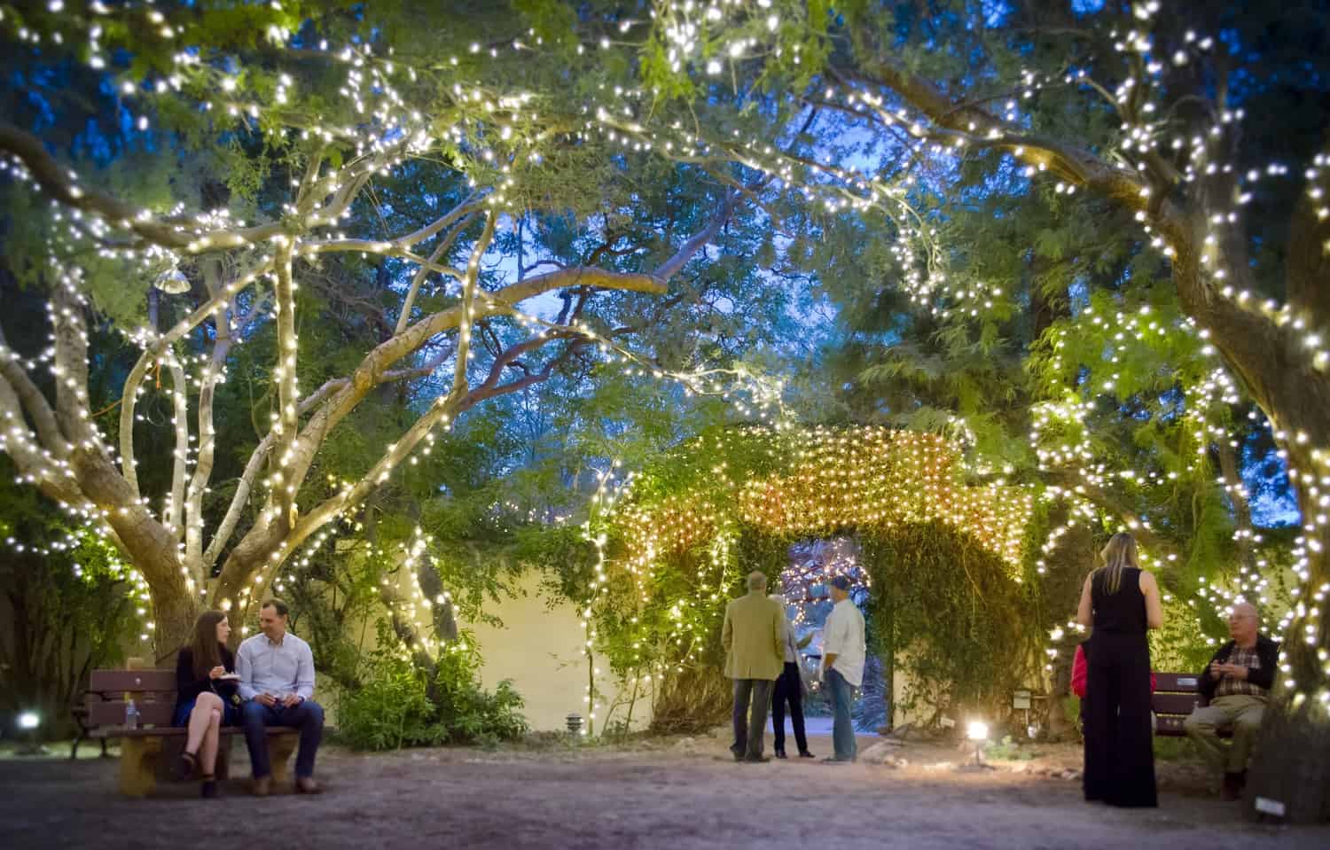 Holiday Lights in Tucson 2025 | TucsonTopia