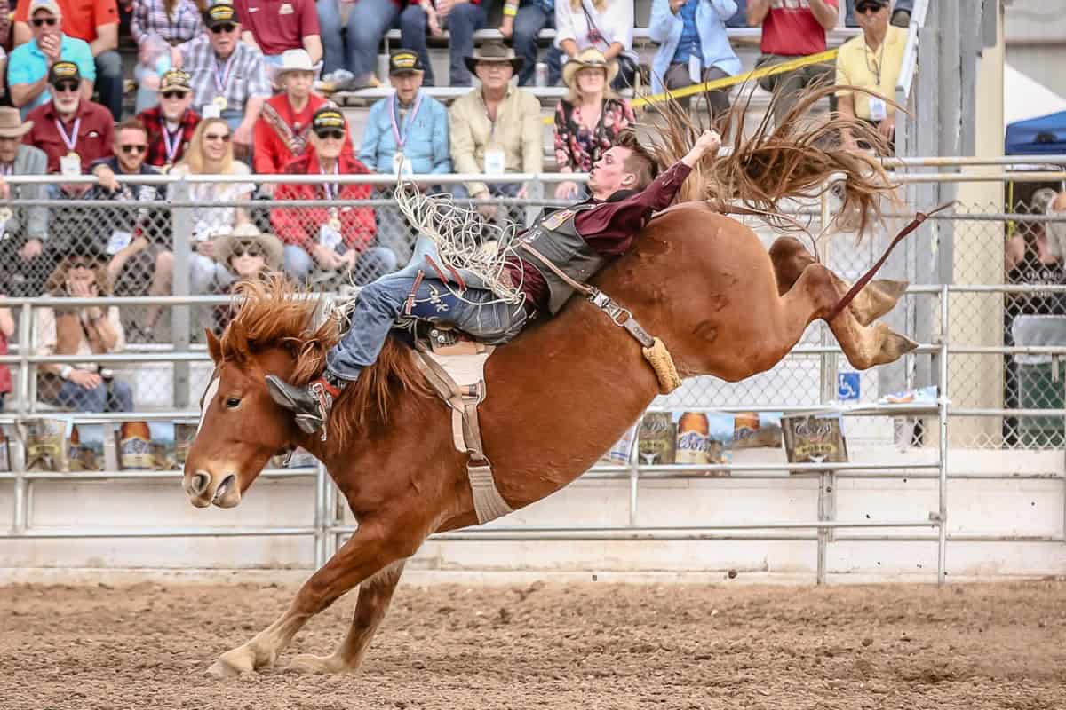 Tucson Rodeo Guide - Tickets, Parking, Barn Dances, Parade | TucsonTopia