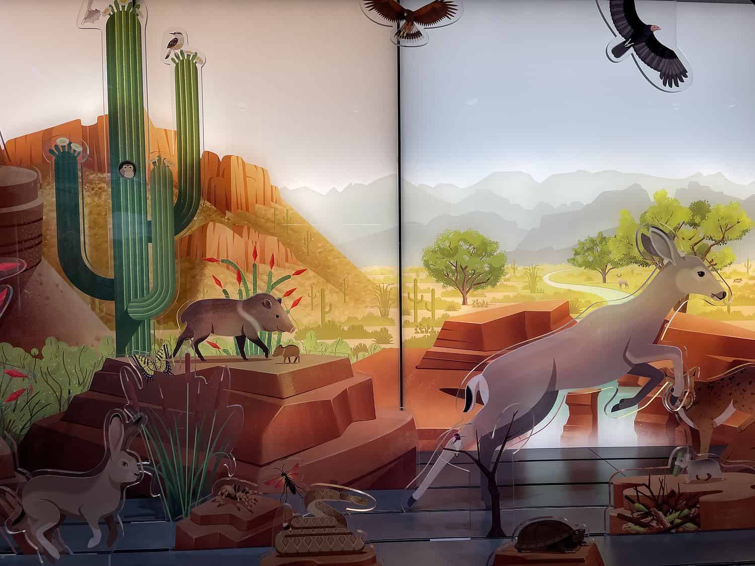 Downtown Tucson - Things to Do, Places to Eat, Memories to Make ...