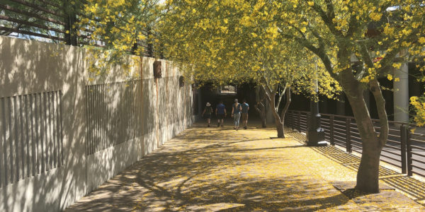 45 Reasons to Move to Tucson (or to be glad you live here!)