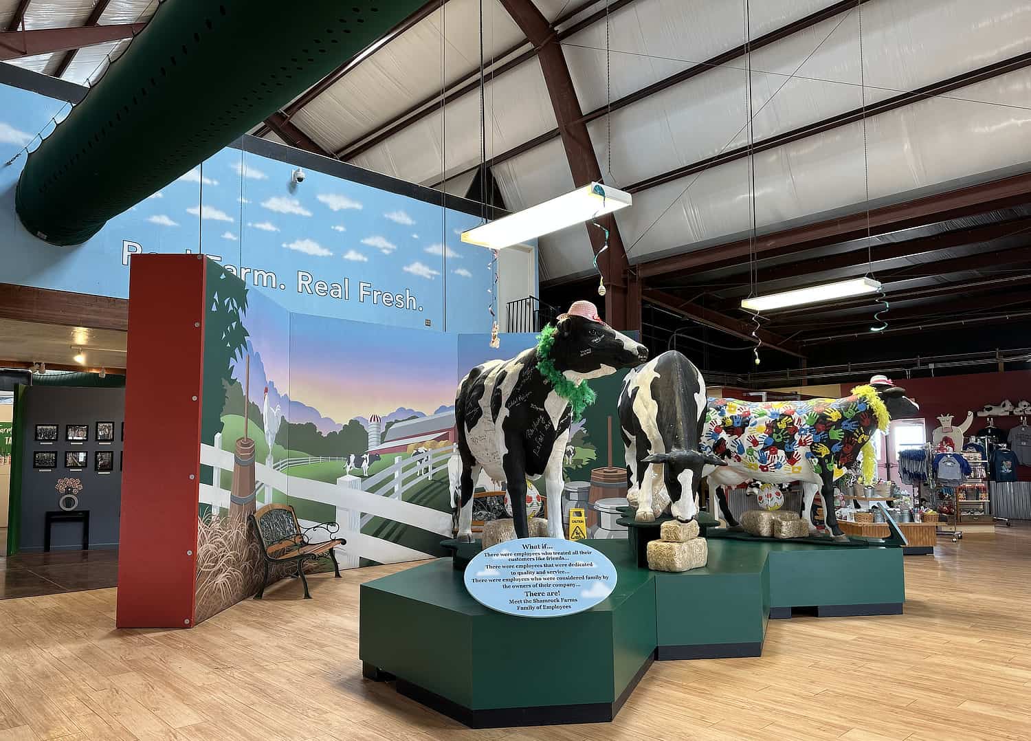 Shamrock Farms | Farm Tours & Field Trips | TucsonTopia