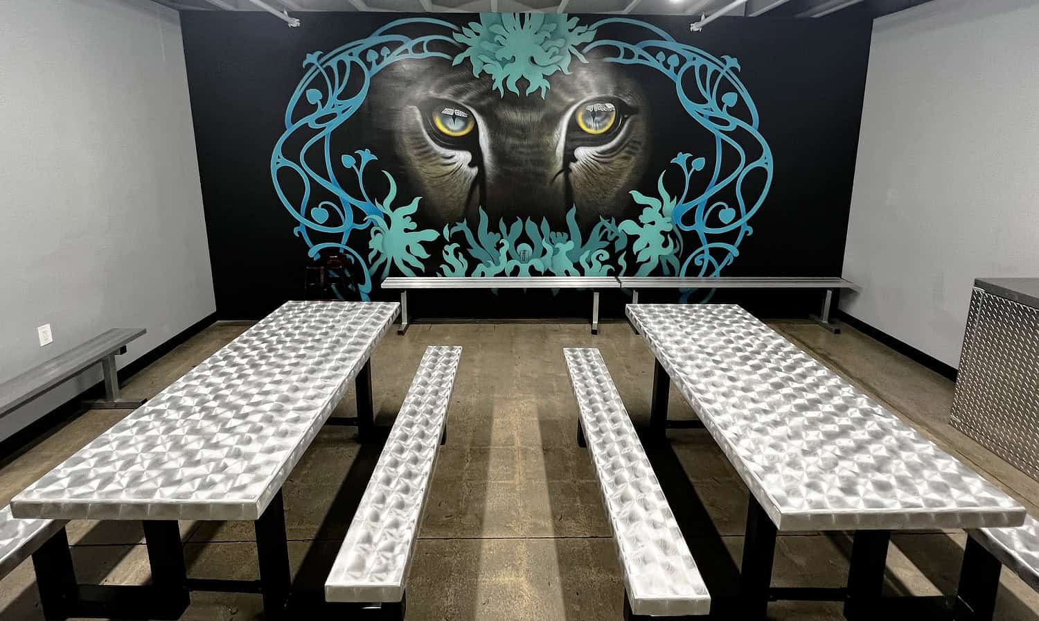 Jumping Cholla | Guide to Tucson's Largest Trampoline Park | TucsonTopia