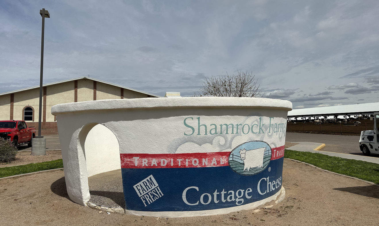 Shamrock Farms | Farm Tours & Field Trips | TucsonTopia