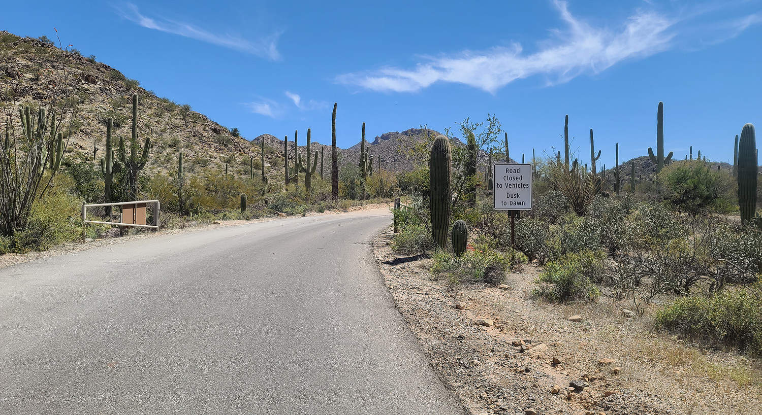 Saguaro National Park - Attraction Guide | TucsonTopia