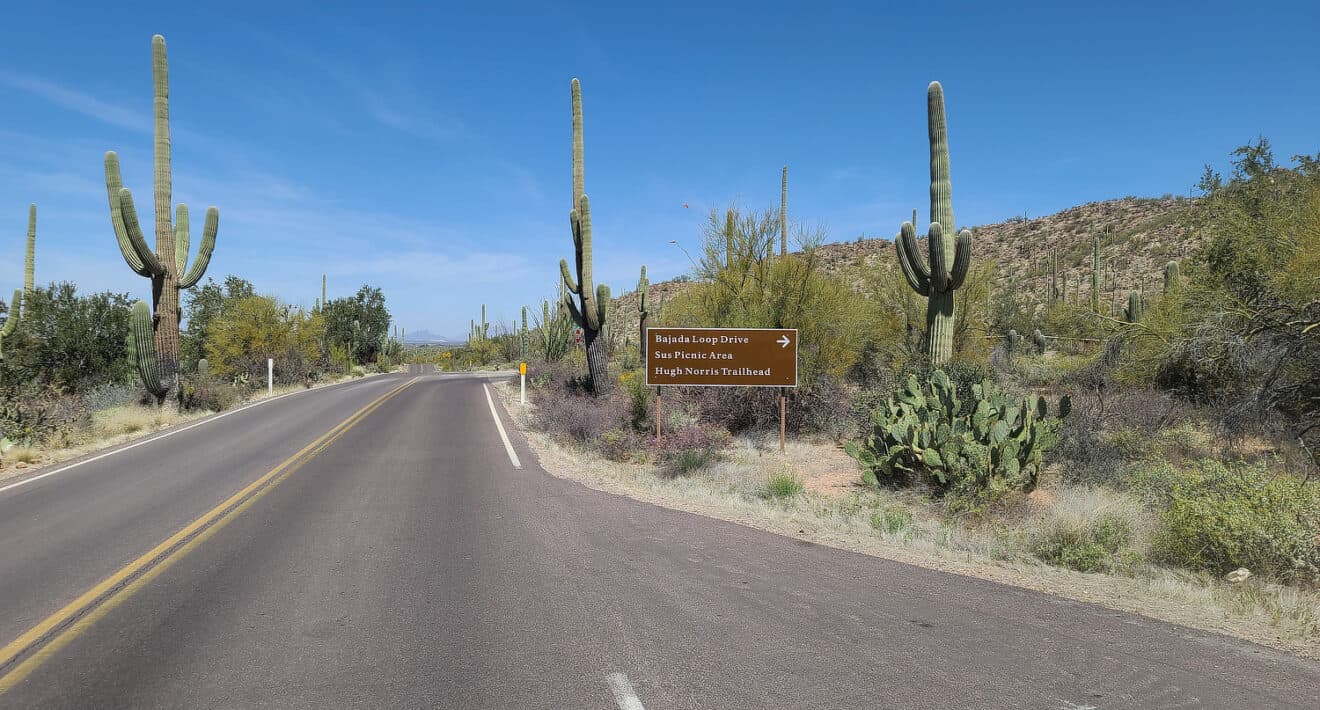 Saguaro National Park - Attraction Guide | TucsonTopia