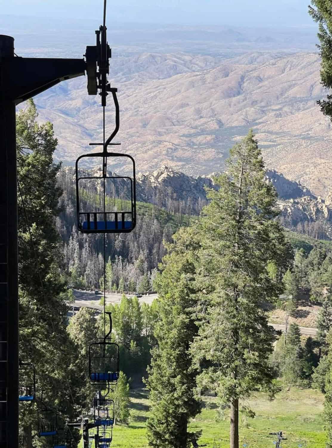 Mount Lemmon | Ultimate Guide to Tucson's Favorite Mountain! | TucsonTopia