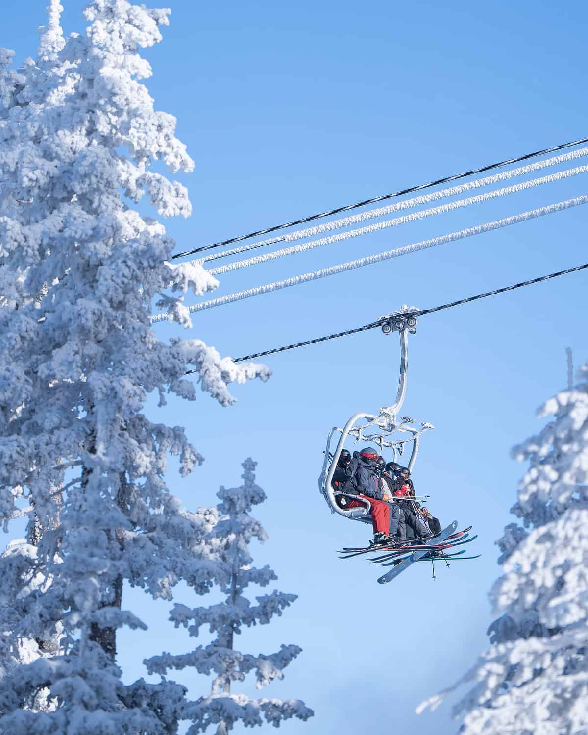 Ultimate Guide to Arizona Snowbowl | TucsonTopia