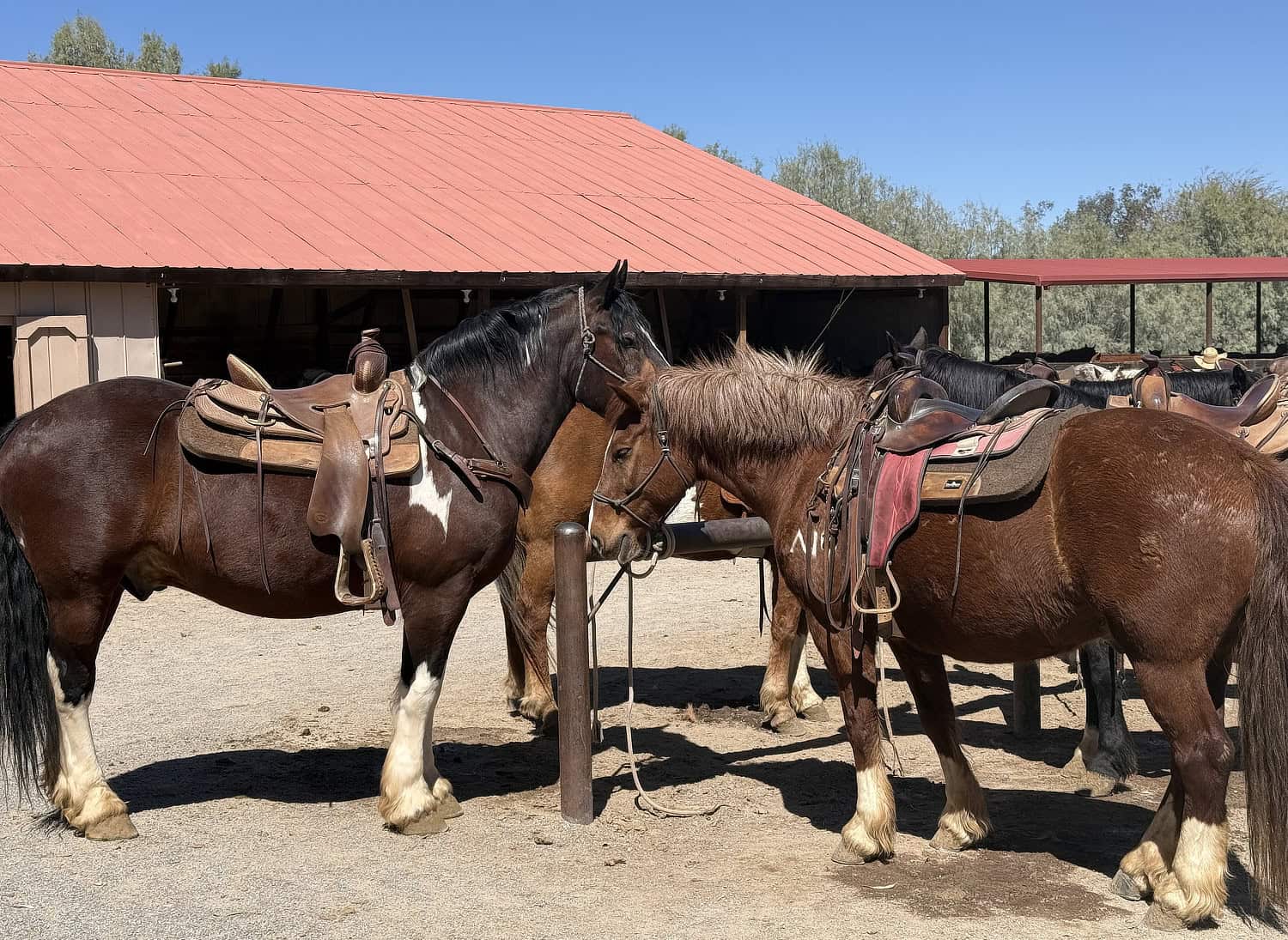 Rancho de los Caballeros: Luxurious, All-Inclusive Guest Ranch Resort ...